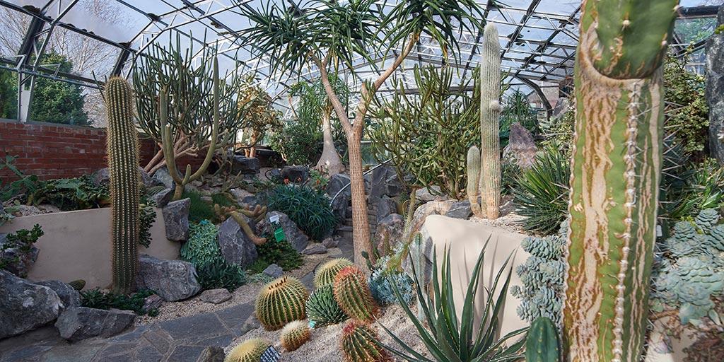 Inverness Botanic Gardens - Nairn Scotland